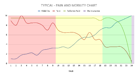 THE TYPICAL JOURNEY TOWARDS SPINAL PAIN RELIEF | Non Surgical Spinal Care